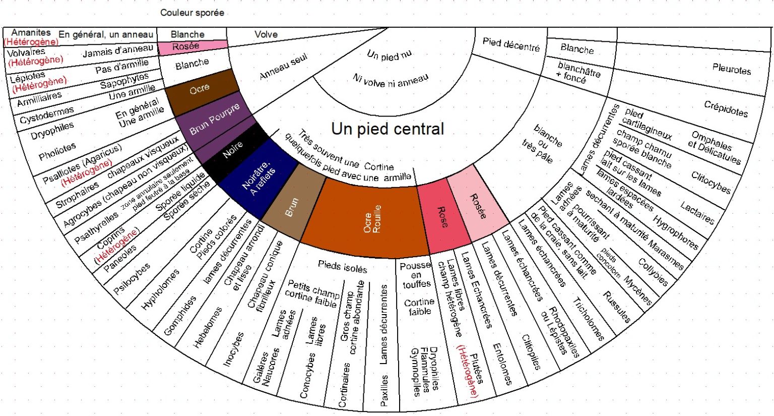 La détermination des champignons – Groupe Mycologique et Botanique de ...